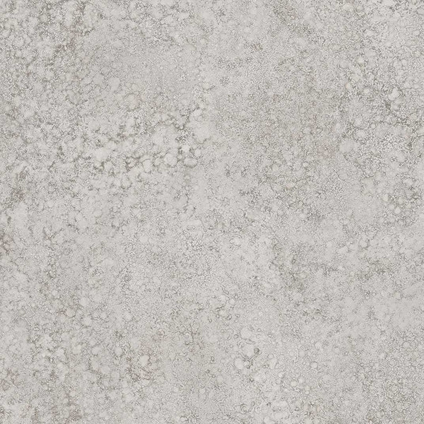 Taupe Oasis